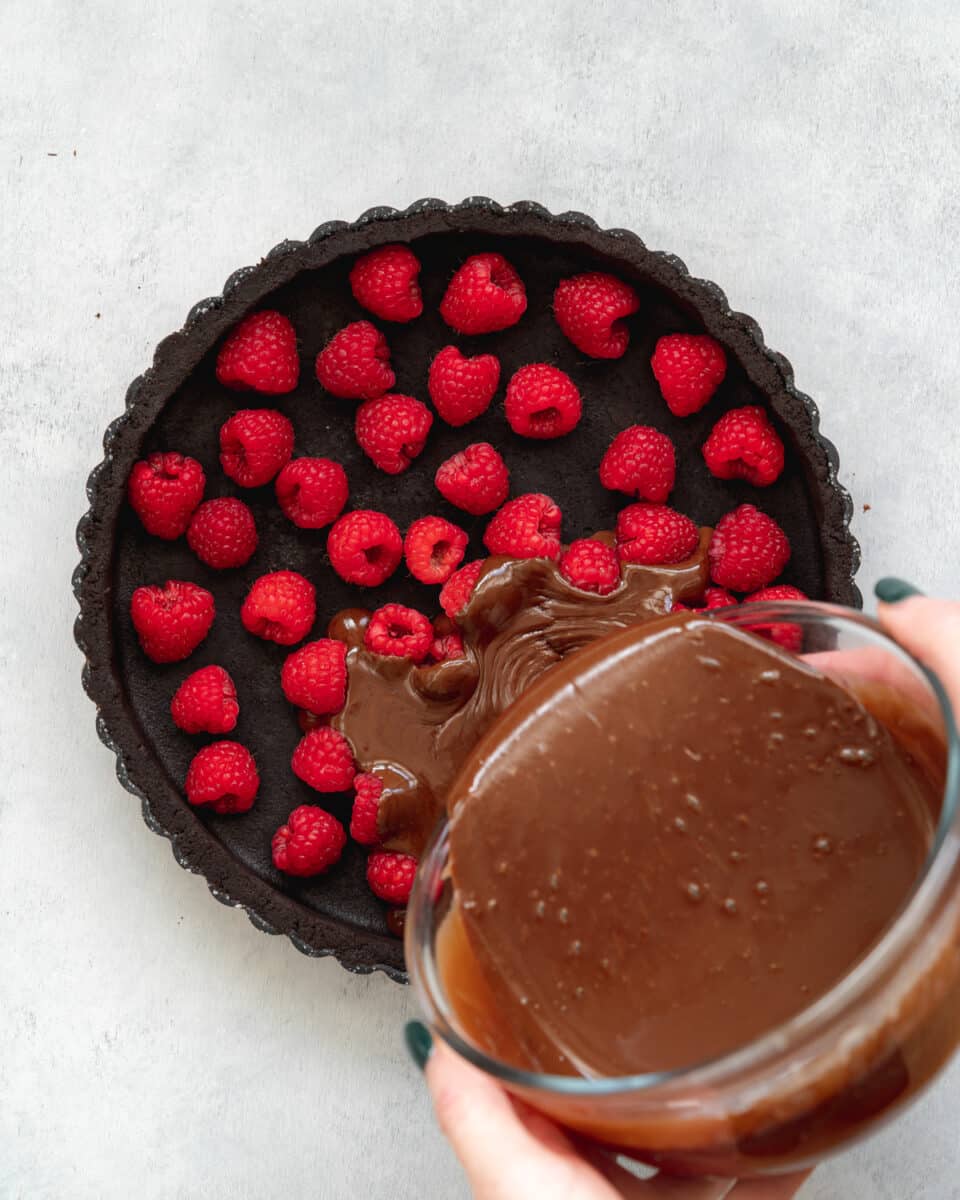 Vegan Raspberry Chocolate Tart (6 Ingredients, No-Bake)